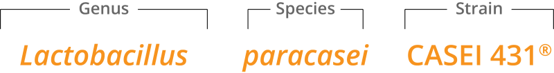 Lactobacillus paracasei CASEI 431® | Database