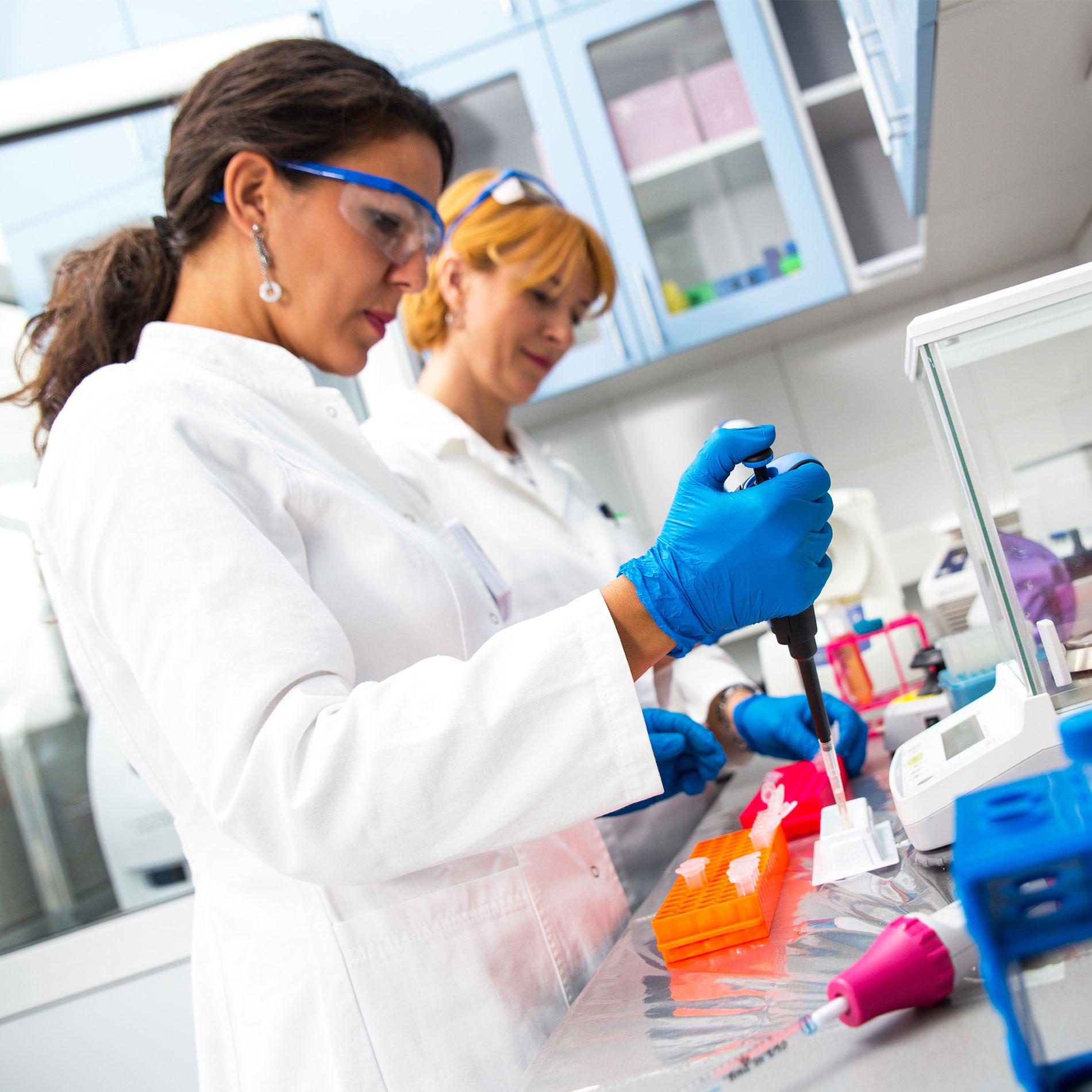 Probiotic Yeast Benefits for Gut | Probiotics Learning Lab