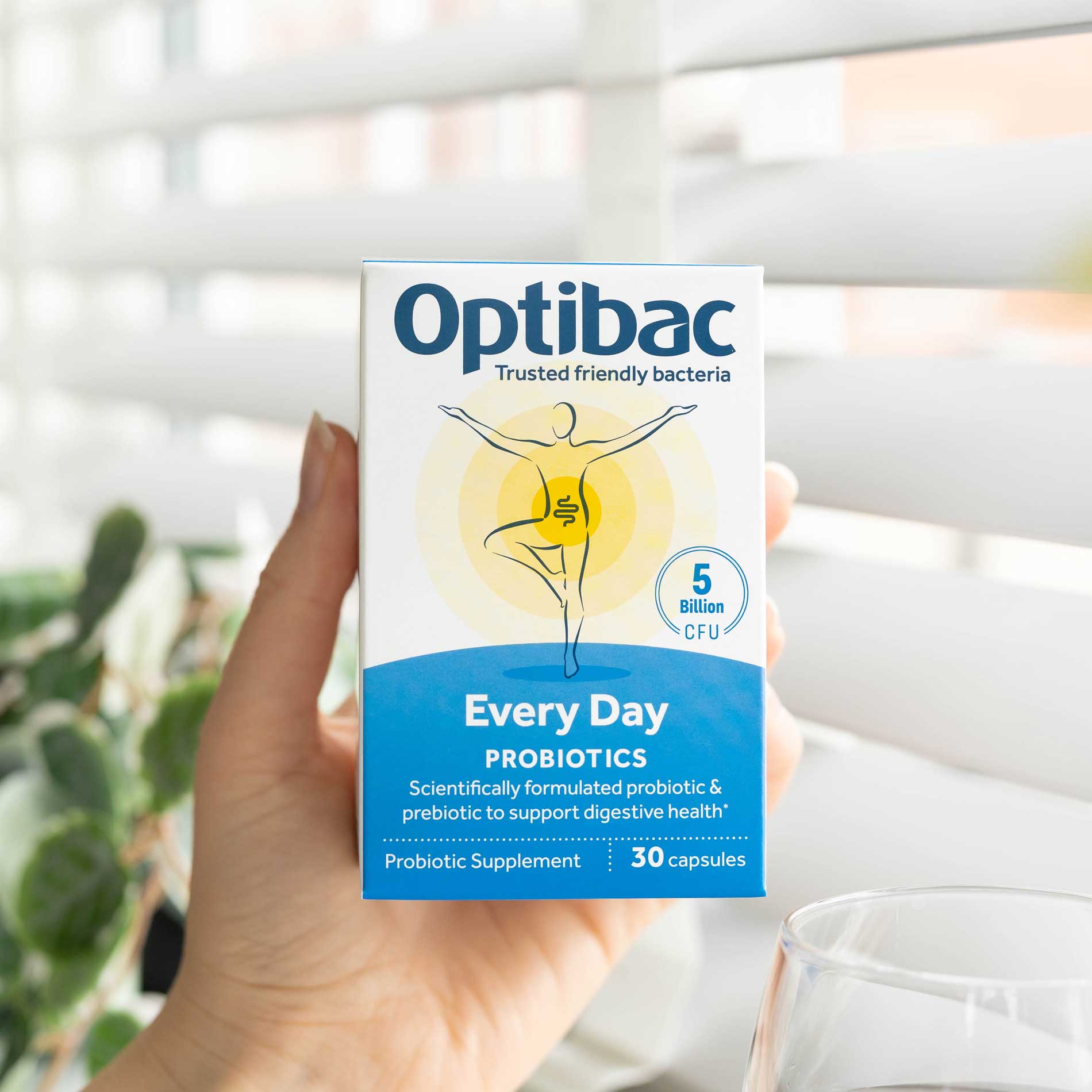 Lactobacillus: all you need to know