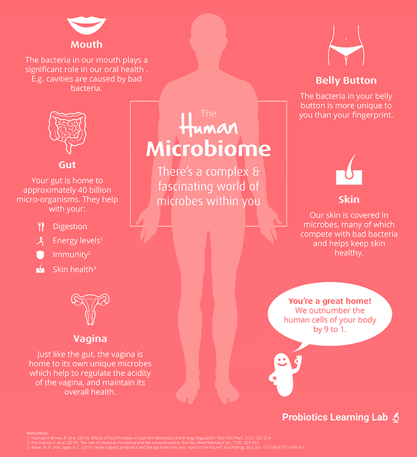 All About The Microbiome | Probiotics Learning Lab