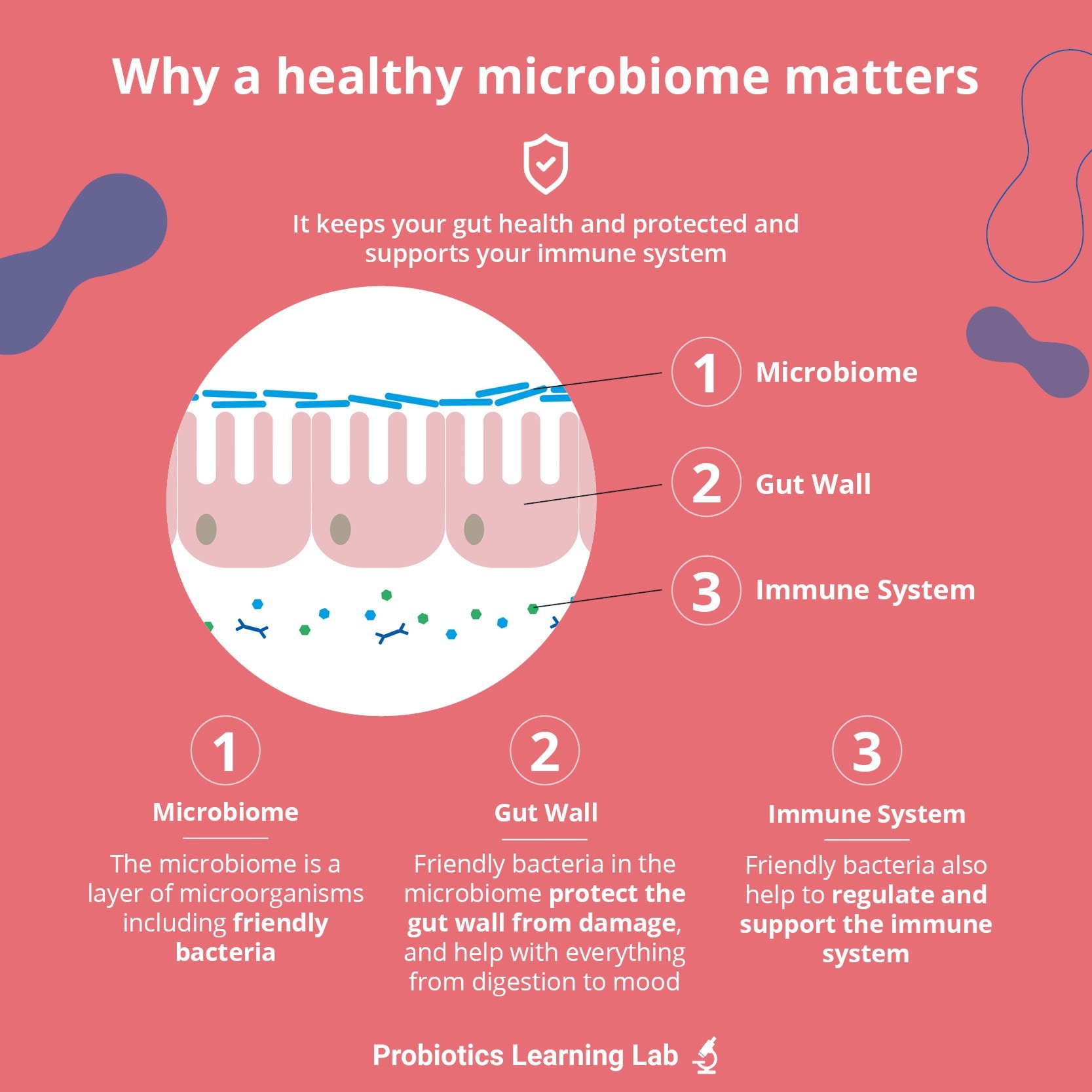 All About The Microbiome | Probiotics Learning Lab