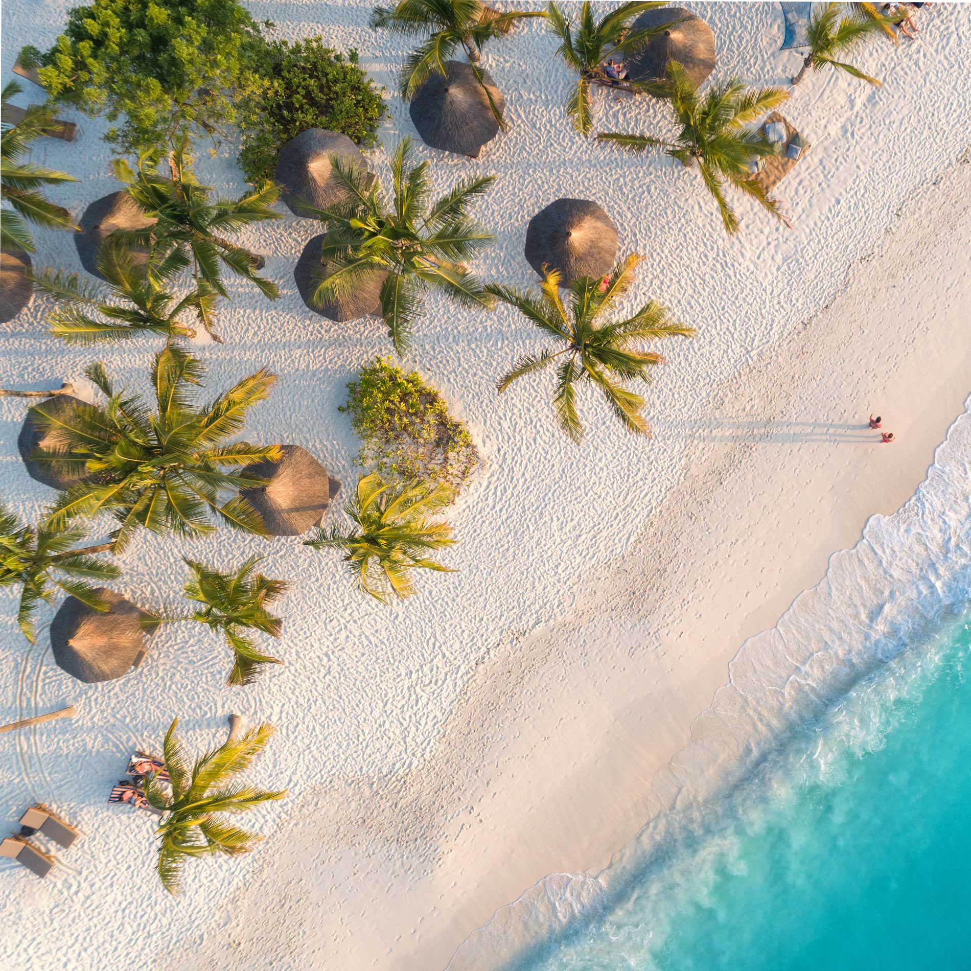 Five Natural Travel Essentials | Optibac Probiotics